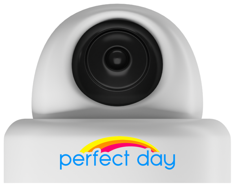 For Families – Perfect Day